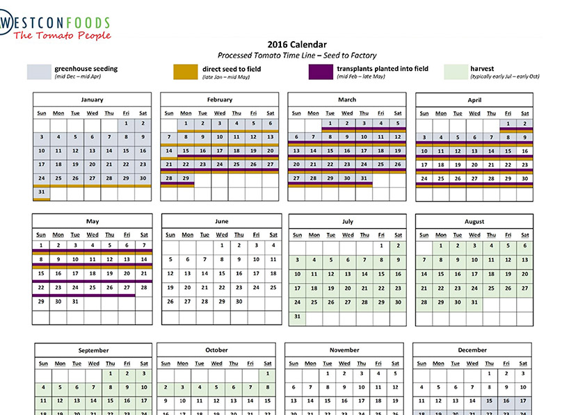 CA Tomato Processing Timeline - Westcon Foods, Inc